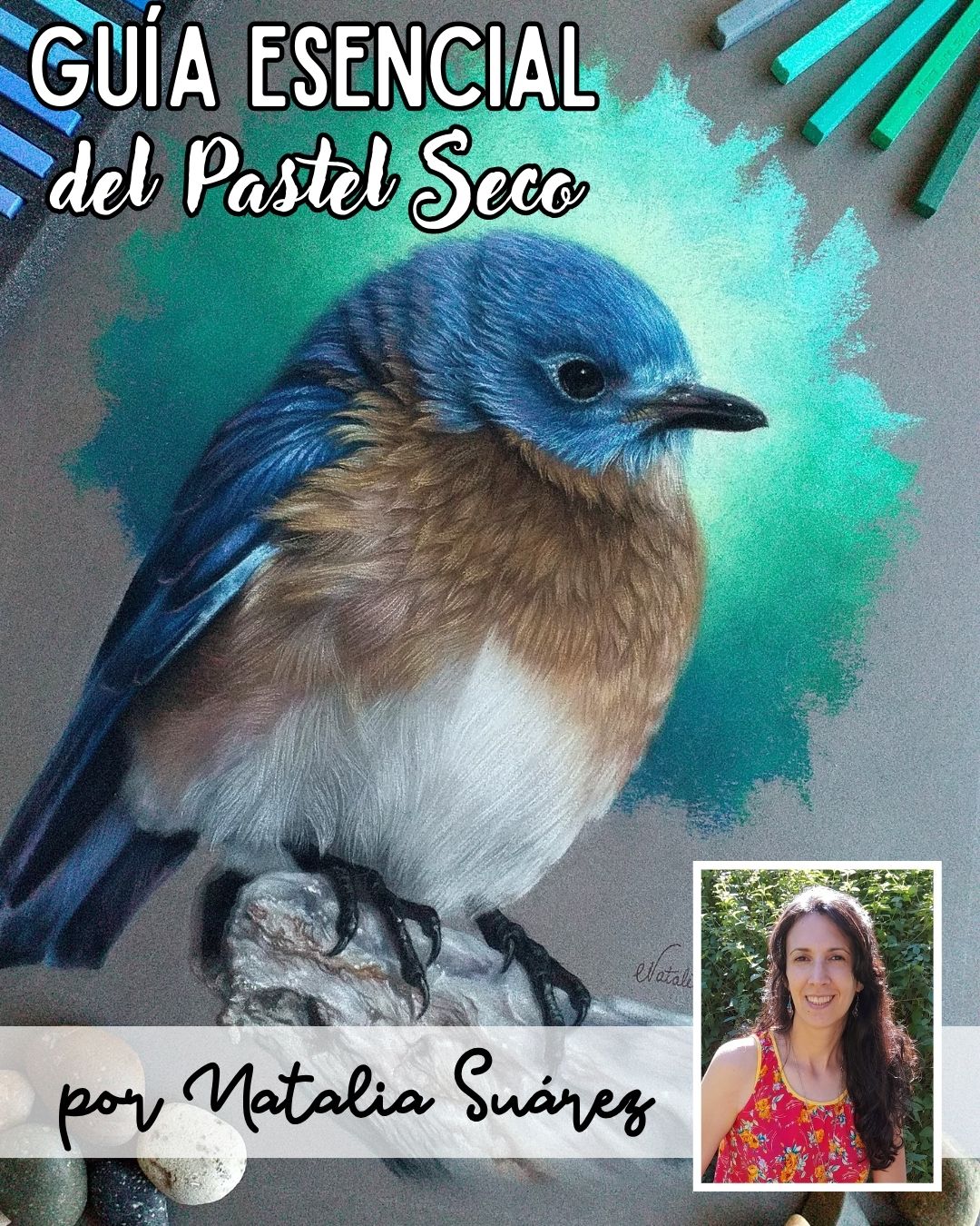 Guía Esencial del Pastel Seco